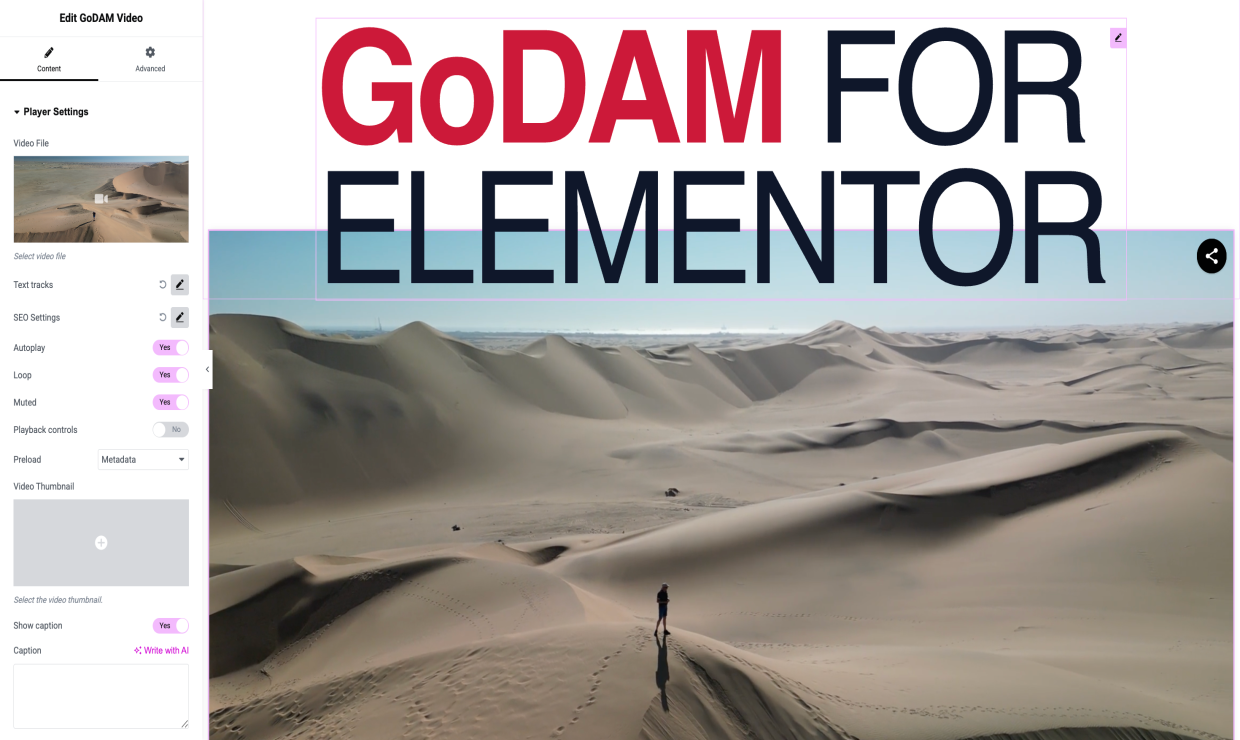Elementor integration - GoDAM